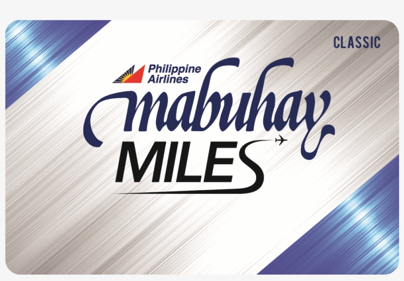 Nutshell Png PNG Image | Transparent PNG Free Download on SeekPNG