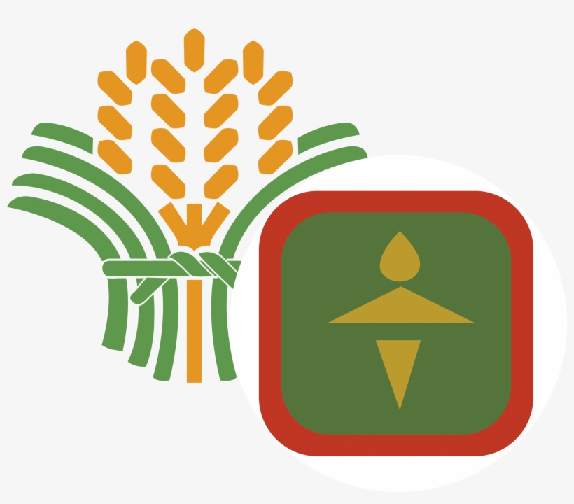 Farmland Vector Rice Farm PNG Image | Transparent PNG Free Download on ...