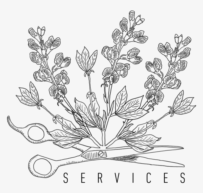 Services PNG Image | Transparent PNG Free Download on SeekPNG