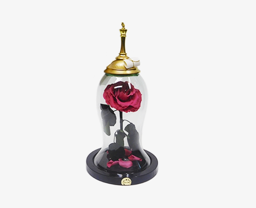 Download Flor Eterna La Bella Y La Bestia | Transparent PNG Download ...