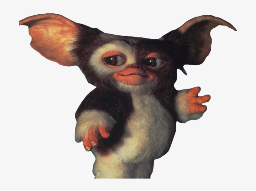 Gizmo Png PNG Image | Transparent PNG Free Download on SeekPNG