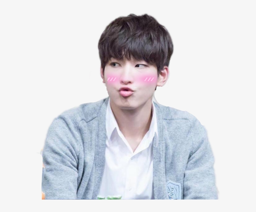 Kpop Wonwoo Sticker Stephaniersam Png Kpop Wonwoo PNG Image ...