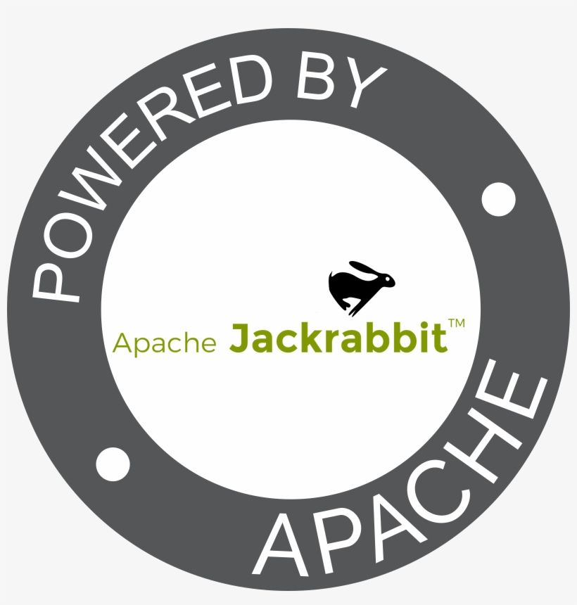 Jackrabbit PNG Image | Transparent PNG Free Download on SeekPNG