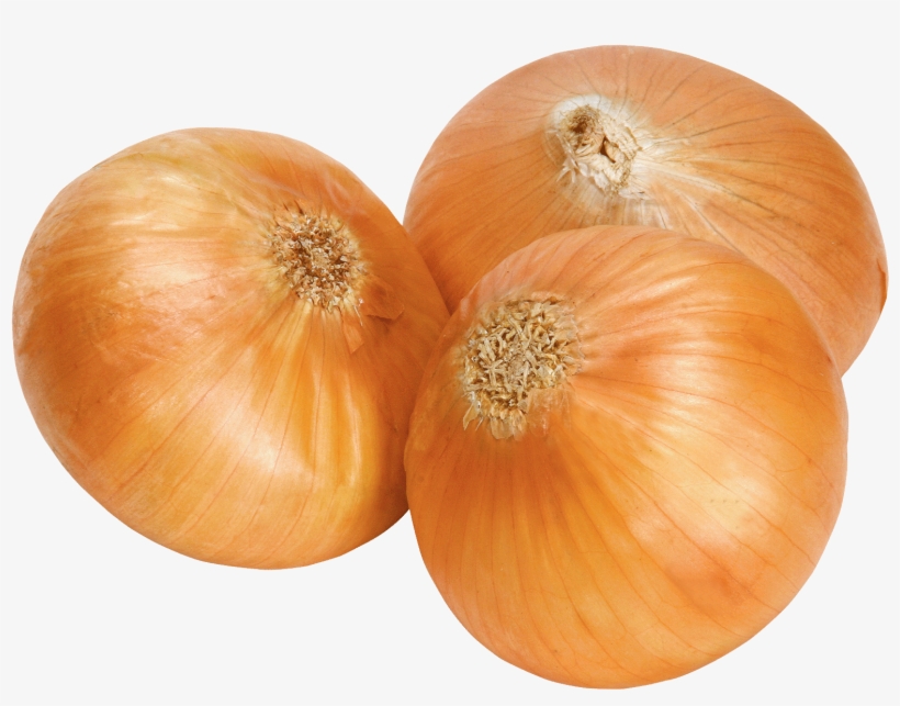 Onion Transparent PNG Image | Transparent PNG Free Download on SeekPNG