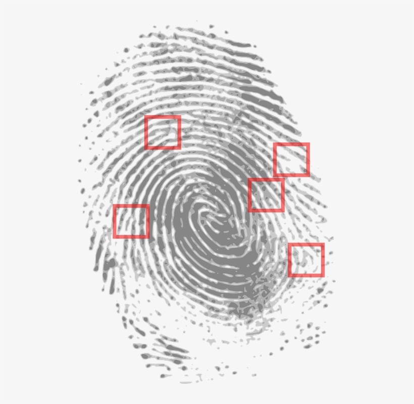 Fingerprint - Fingerprints Used To Solve Crimes PNG Image | Transparent ...