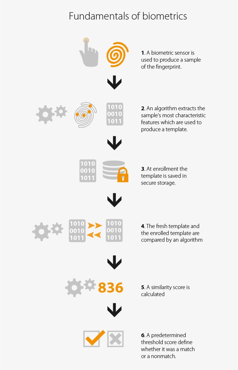 Read White Paper - Fingerprint Recognition Algorithm PNG Image ...