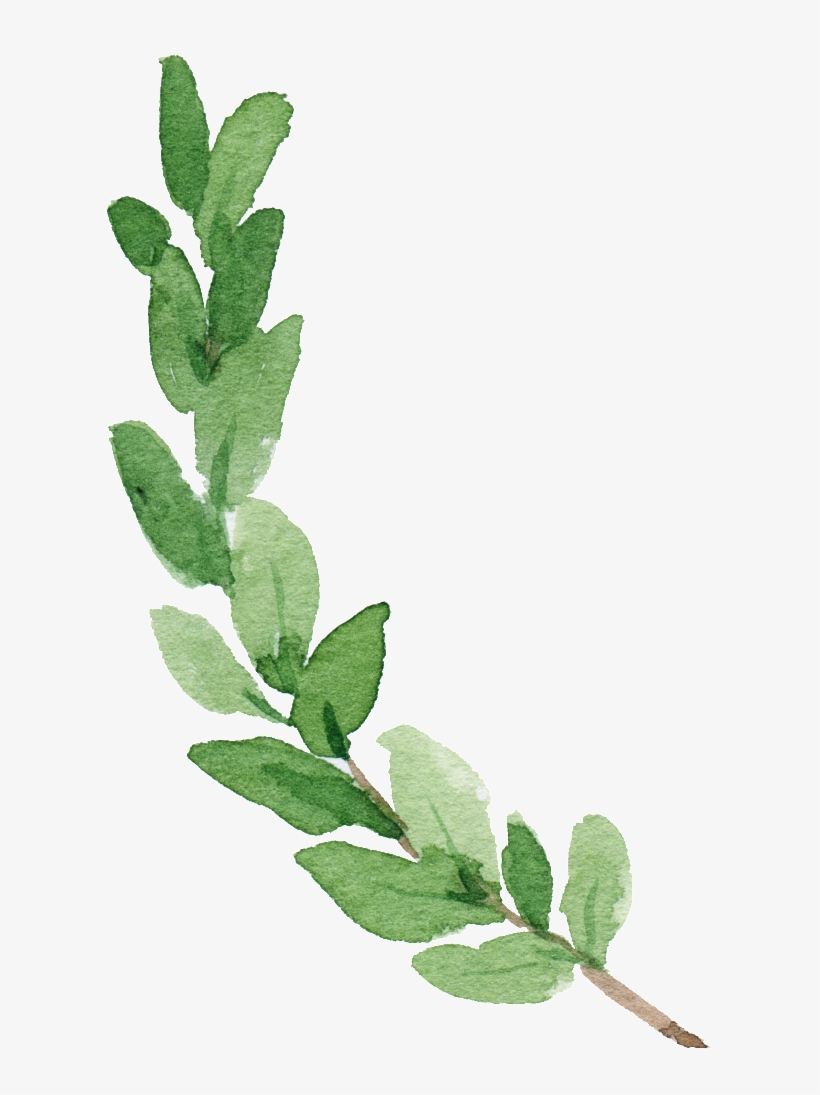 Watercolor Hand-painted Leaf Material - Watercolor Painting PNG Image ...
