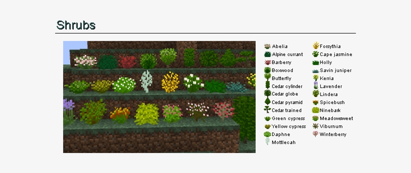 Shrubs - Minecraft PNG Image | Transparent PNG Free Download on SeekPNG