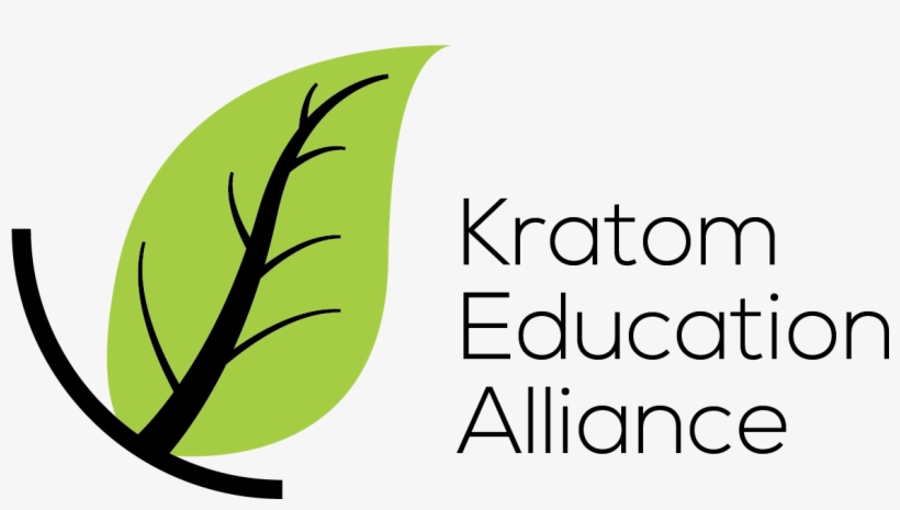 Kratom Png PNG Image | Transparent PNG Free Download on SeekPNG