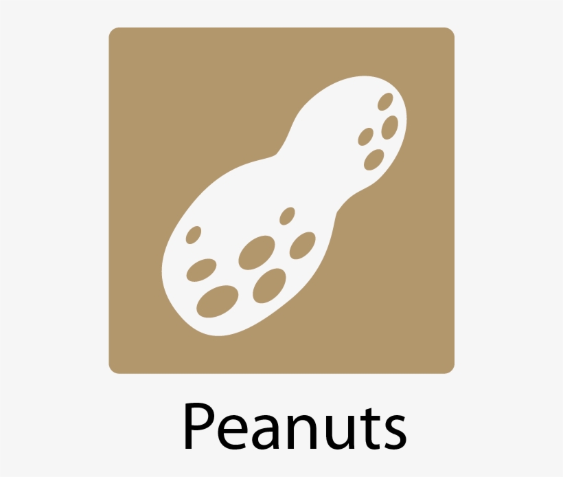 Peanut Icon PNG Image | Transparent PNG Free Download on SeekPNG