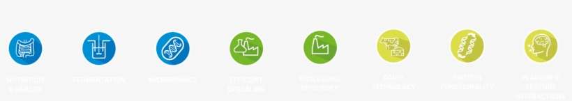 Nizo Icons PNG Image | Transparent PNG Free Download on SeekPNG