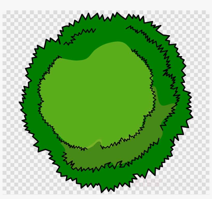 Download Tree Icon Top View Clipart Computer Icons Tree Clip ...