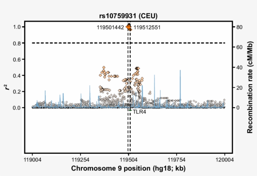 Single Nucleotide Polymorphism PNG Image | Transparent PNG Free ...