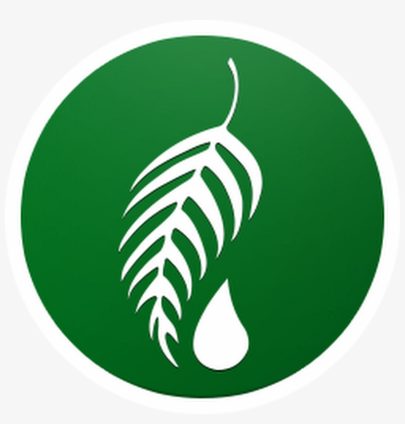 Melaleuca Logo Png PNG Image | Transparent PNG Free Download on SeekPNG