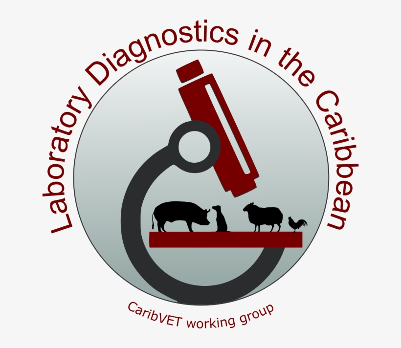 Laboratory PNG Image | Transparent PNG Free Download on SeekPNG