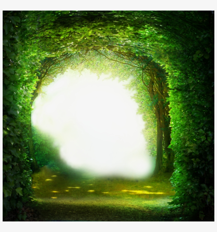 E7fc39f0 - Light PNG Image | Transparent PNG Free Download on SeekPNG