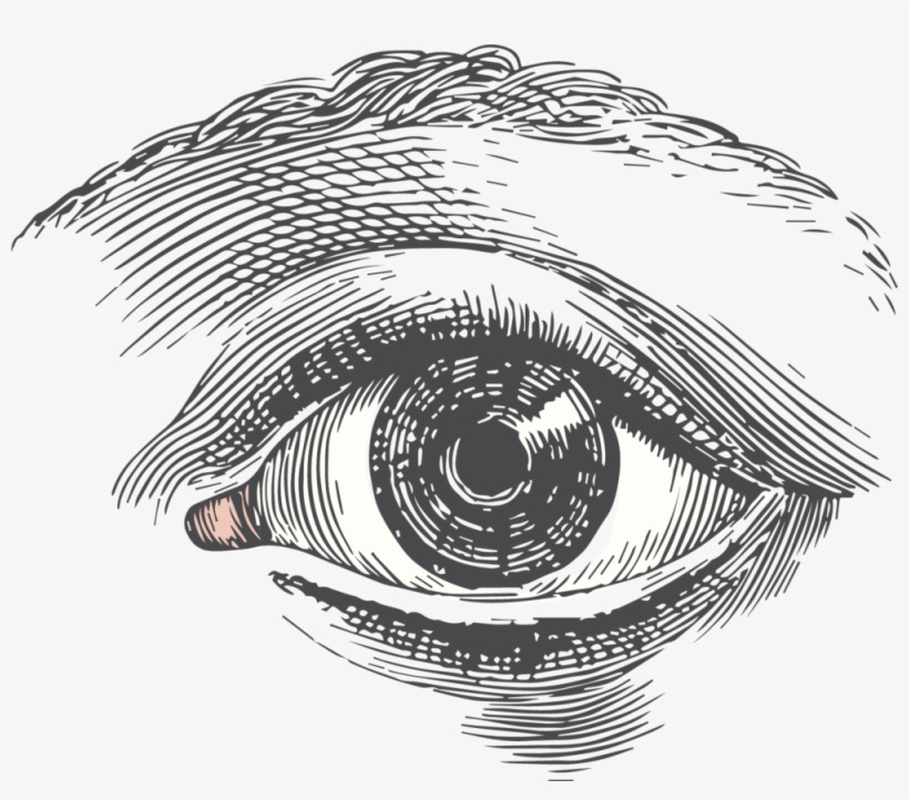 Download Quality Art Lessons - Cross Hatching Drawing Of Eyes ...