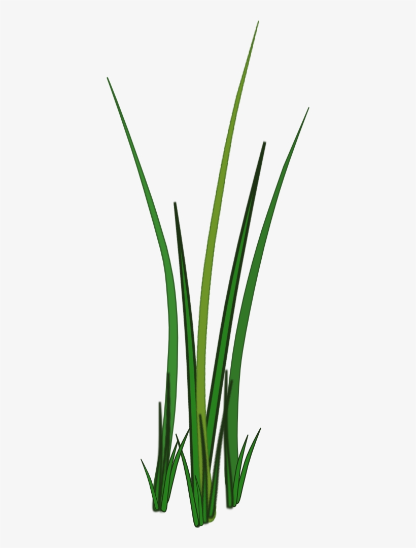 Grass Png Texture - Transparent Grass Texture Png PNG Image ...