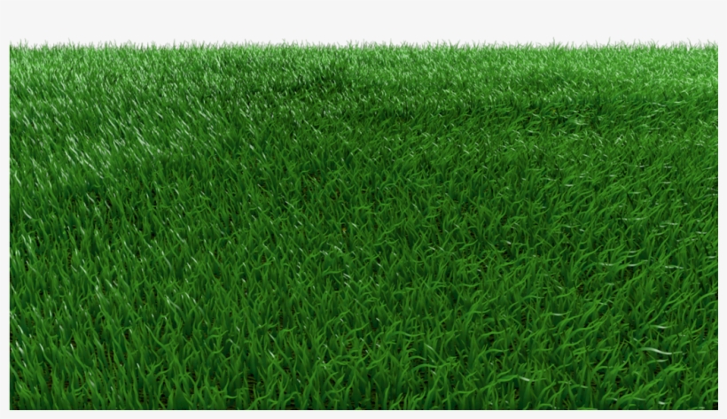 Grass Field Png - Field Transparent Background PNG Image | Transparent ...