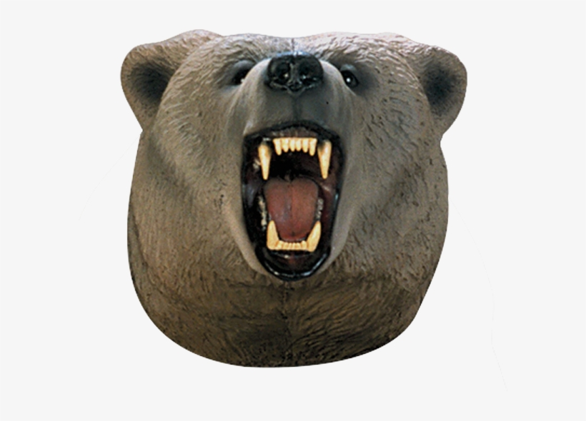 Grizzly Bear Archery Target Replacement Head - Bear Head Png PNG Image ...