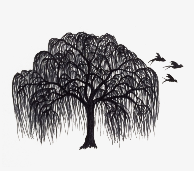 Tree Ink - Willow Tree Logo Png PNG Image | Transparent PNG Free ...