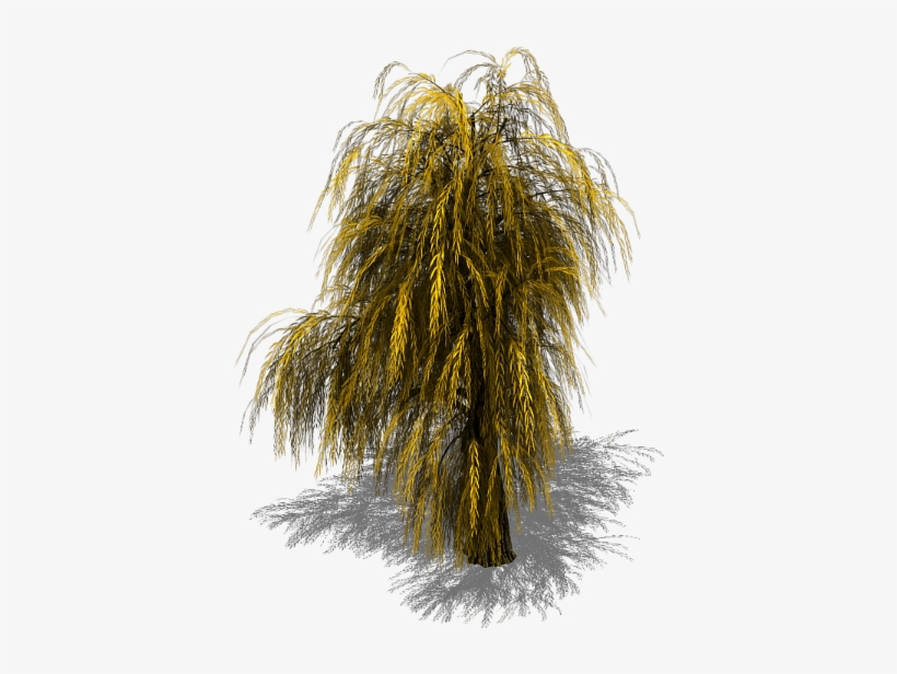 Preview - Tree Swamp Png PNG Image | Transparent PNG Free Download on ...