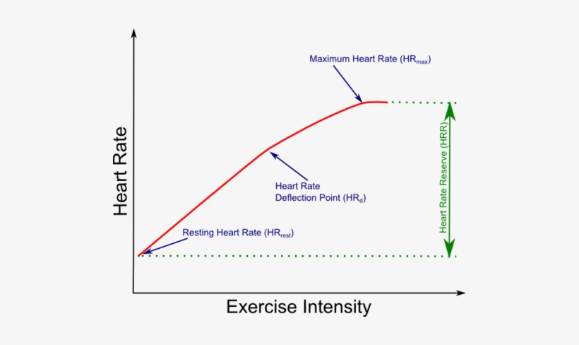 Download Heart Rate And Exercise Intensity Graph | Transparent PNG ...