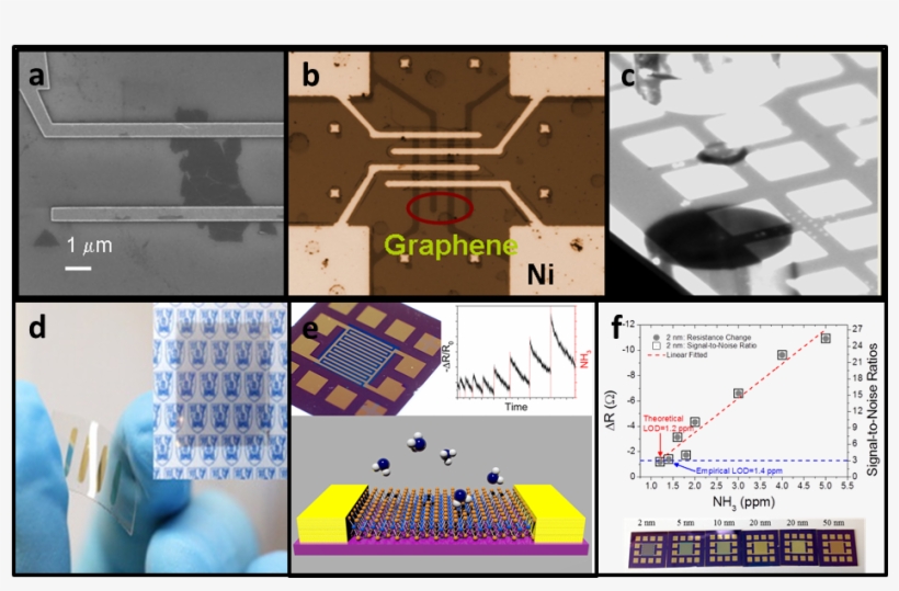 Sensors PNG Image | Transparent PNG Free Download on SeekPNG
