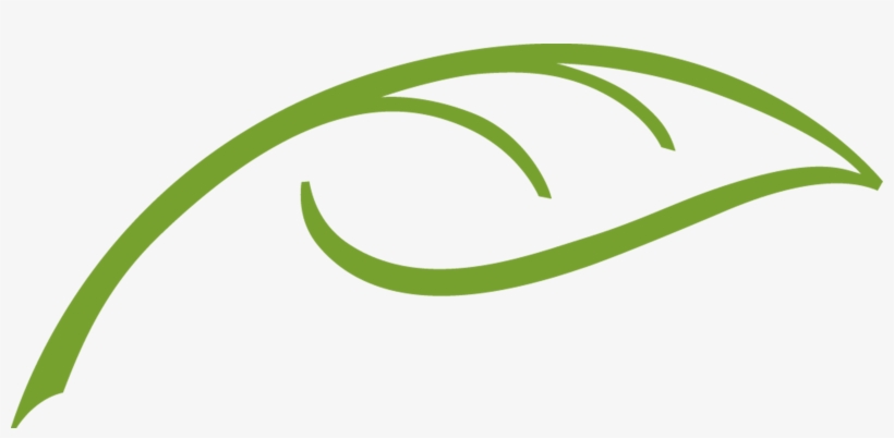 Nvsd Leaf Oct12 2018 PNG Image | Transparent PNG Free Download on SeekPNG