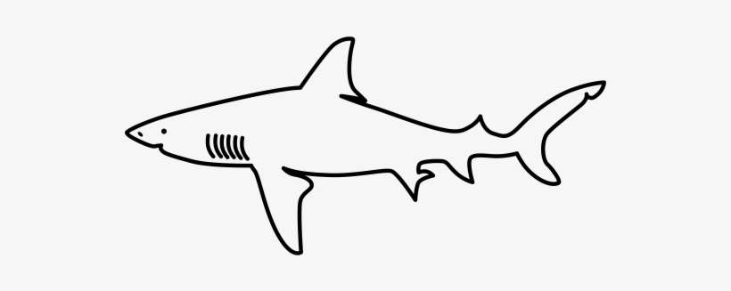 Bull Shark Png PNG Image | Transparent PNG Free Download on SeekPNG