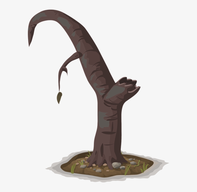 Download Dead Tree Cartoon | Transparent PNG Download | SeekPNG