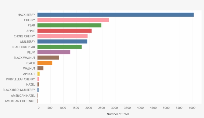 Treecount-01 - Graph Supply Chain And Logistics PNG Image | Transparent ...