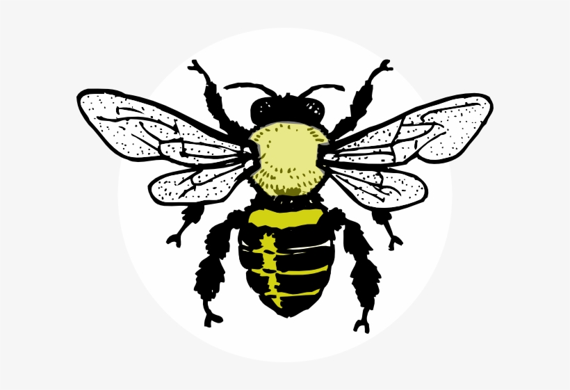 Little Bee Clip Art At Clker - Royalty Free Bee PNG Image | Transparent ...