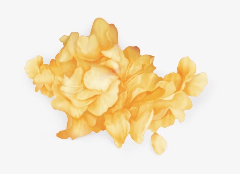 Wildflowers - Troye Sivan Flowers Png PNG Image | Transparent PNG Free ...