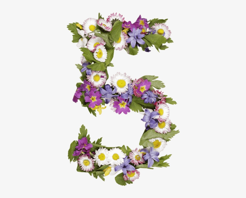 Download Wildflowers Font - Number 5 Flower Png | Transparent PNG ...