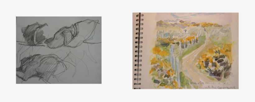 Taking A Nap Pencil Drawing From Sketchbook (right) - Sketch PNG Image ...