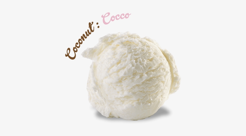 Coconut - Australia's Own Organic Almond Milk Blends 1 Litre PNG Image ...