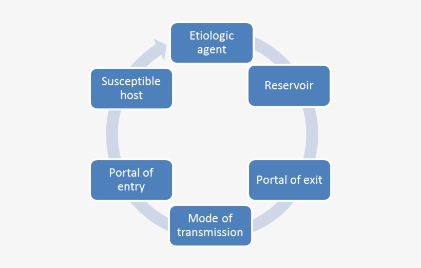 Chain Of Infection Transmission PNG Image | Transparent PNG Free ...