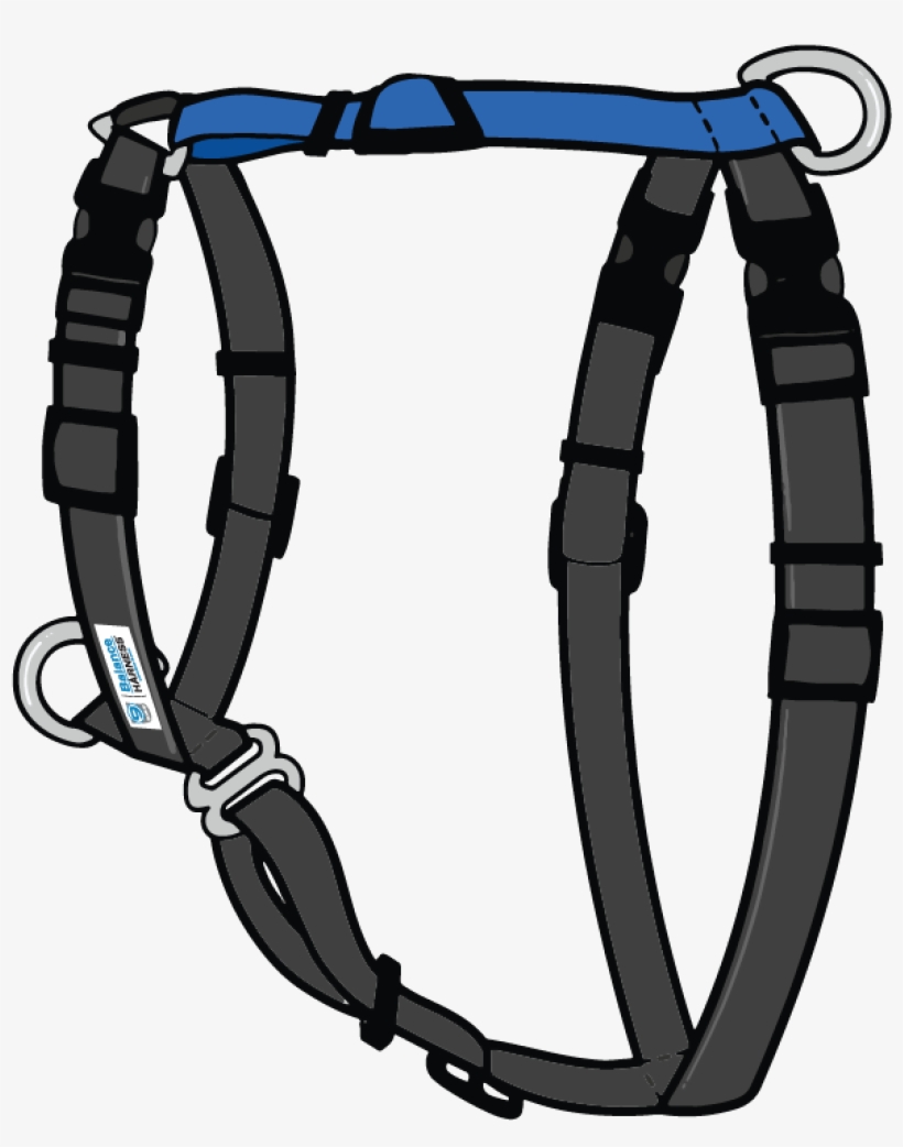 Pinit PNG Image | Transparent PNG Free Download on SeekPNG