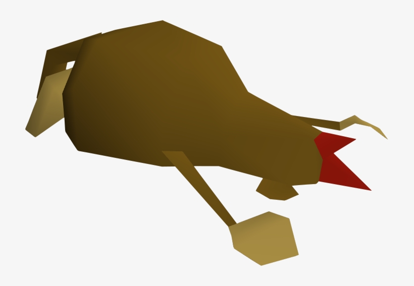 Monkey Corpse Detail PNG Image | Transparent PNG Free Download on SeekPNG