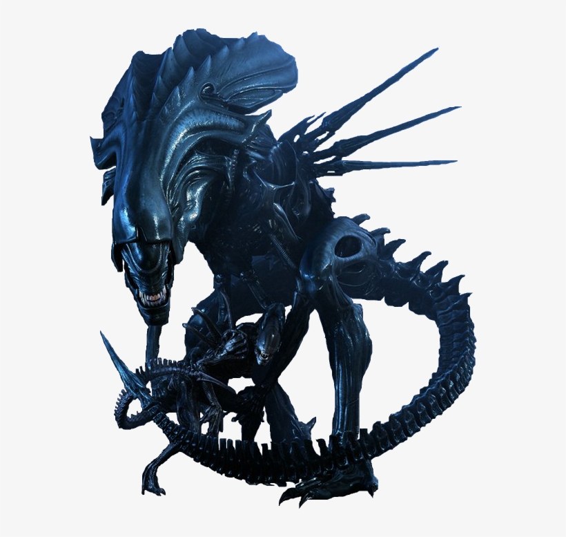 You PNG Image | Transparent PNG Free Download on SeekPNG