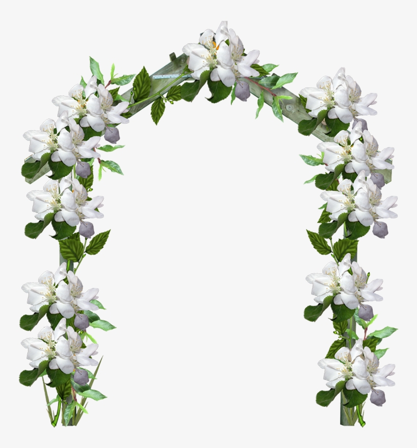 Flowers Arch Png Images PNG Image | Transparent PNG Free Download on ...