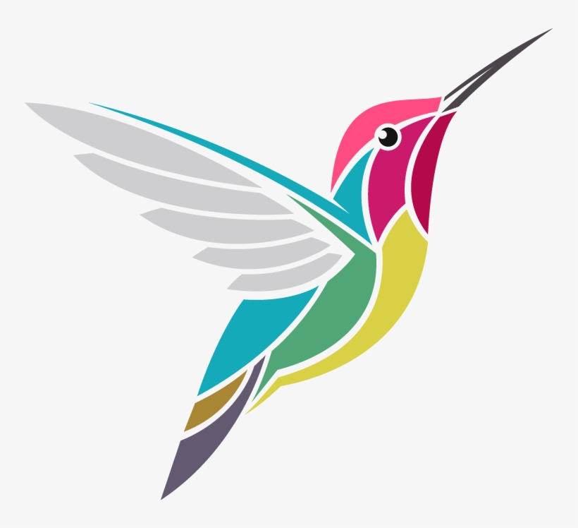 Humming Bird Png PNG Image | Transparent PNG Free Download on SeekPNG