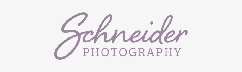 Schneider Logo Png PNG Image | Transparent PNG Free Download on SeekPNG