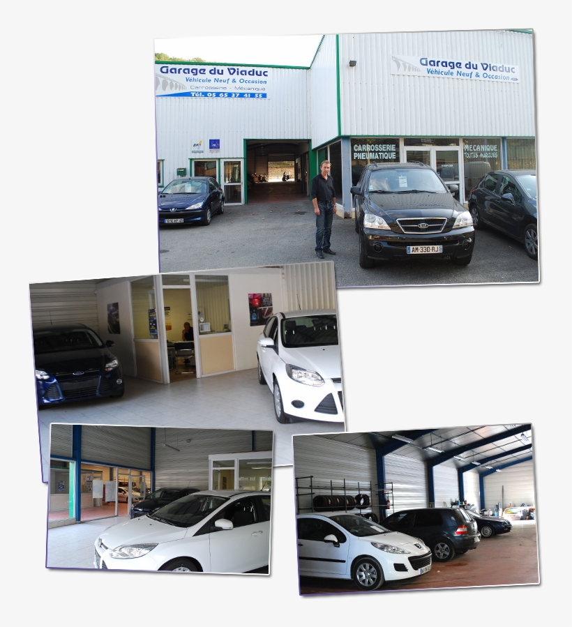 Ent PNG Image | Transparent PNG Free Download on SeekPNG