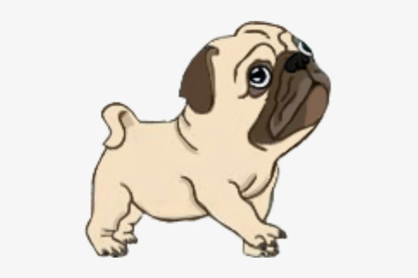 Perrito Png PNG Image | Transparent PNG Free Download on SeekPNG
