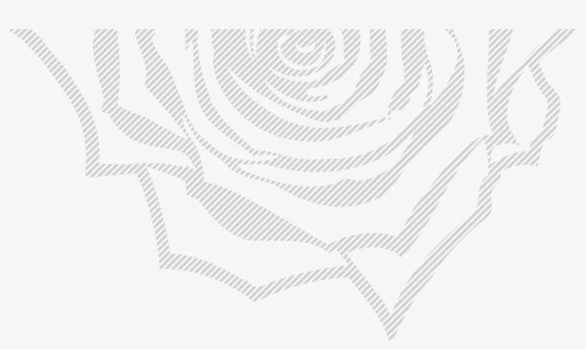 Half Rose PNG Image | Transparent PNG Free Download on SeekPNG