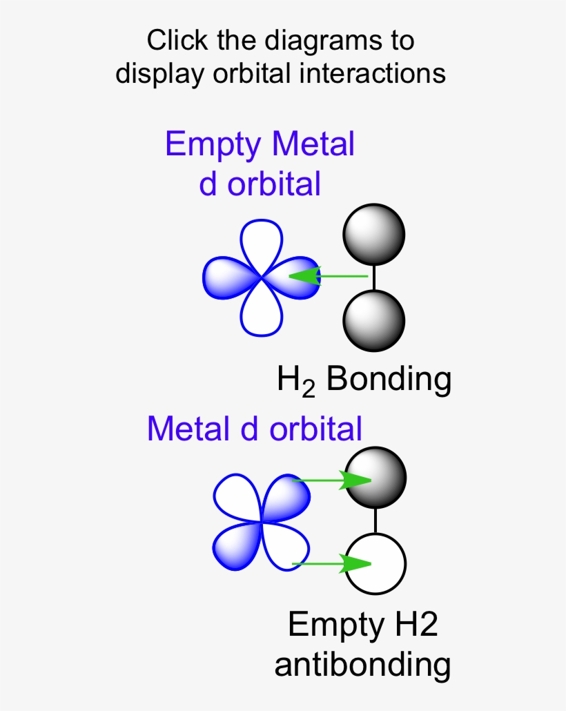 Download Hydrogen Orbitals | Transparent PNG Download | SeekPNG