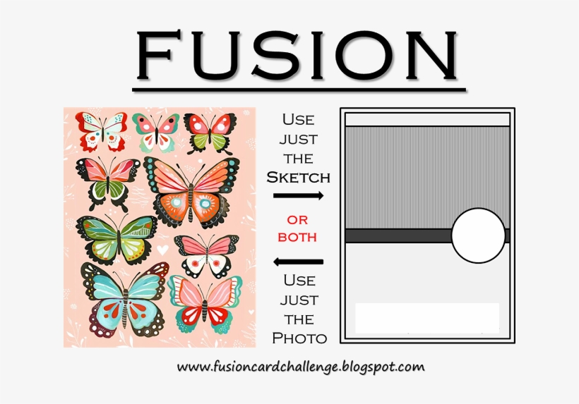 Beautiful Butterflies PNG Image | Transparent PNG Free Download on SeekPNG