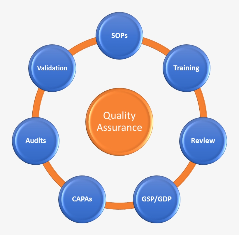 Quality Assurance Png PNG Image | Transparent PNG Free Download on SeekPNG